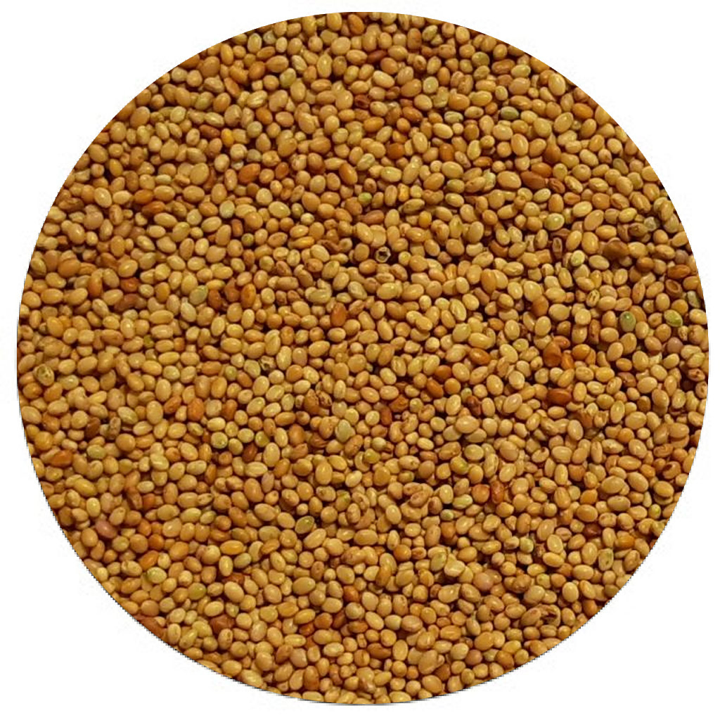 Clover, Crimson C&I - Green Seed Ag, LLC