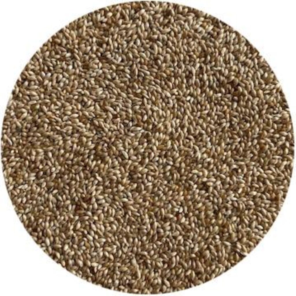 Timothy, VNS - Green Seed Ag, LLC