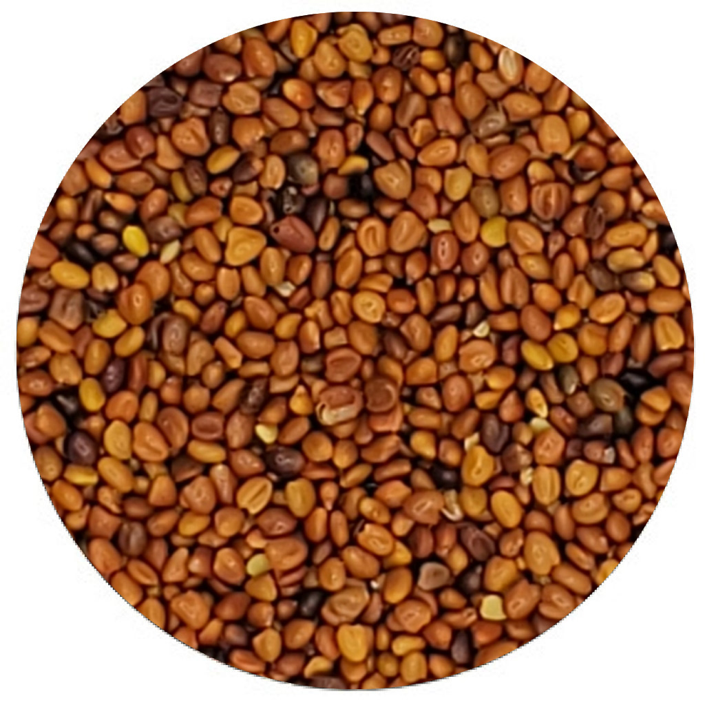 Balansa Clover - Green Seed Ag, LLC