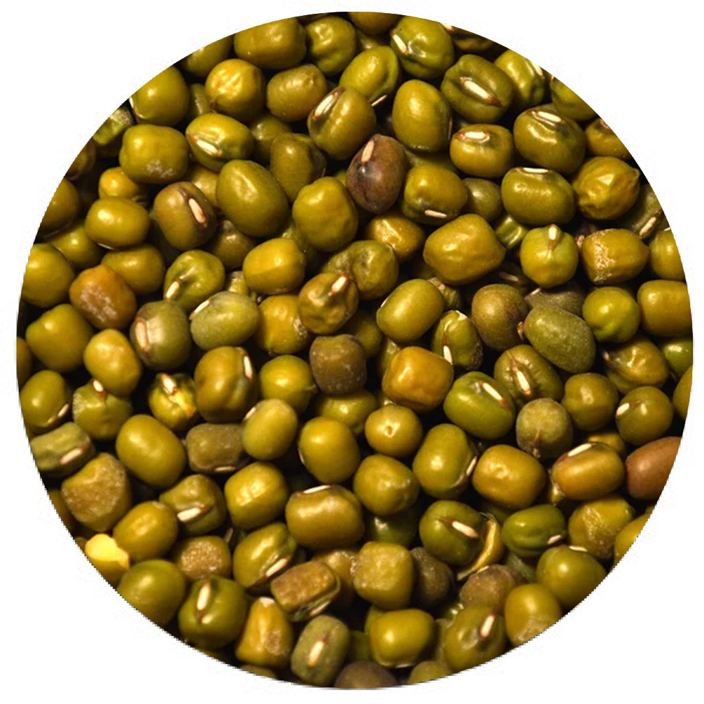 Mung Beans - Green Seed Ag, LLC