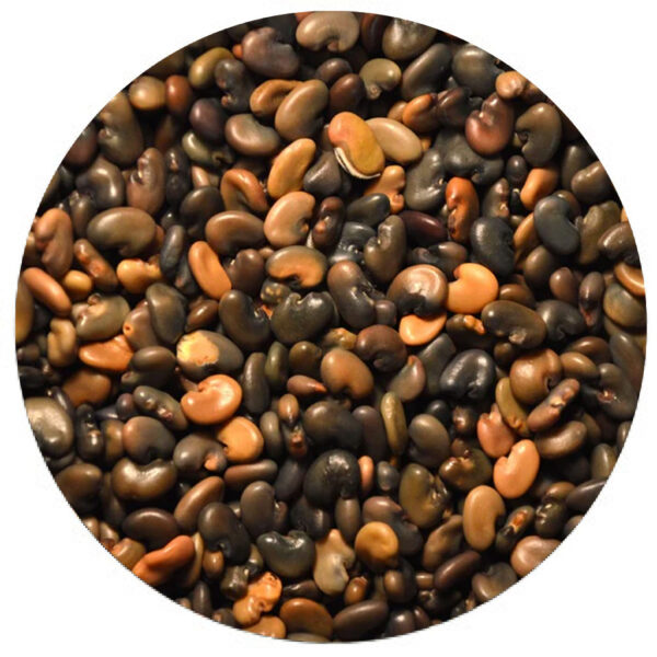 Sunn Hemp - Green Seed Ag, LLC